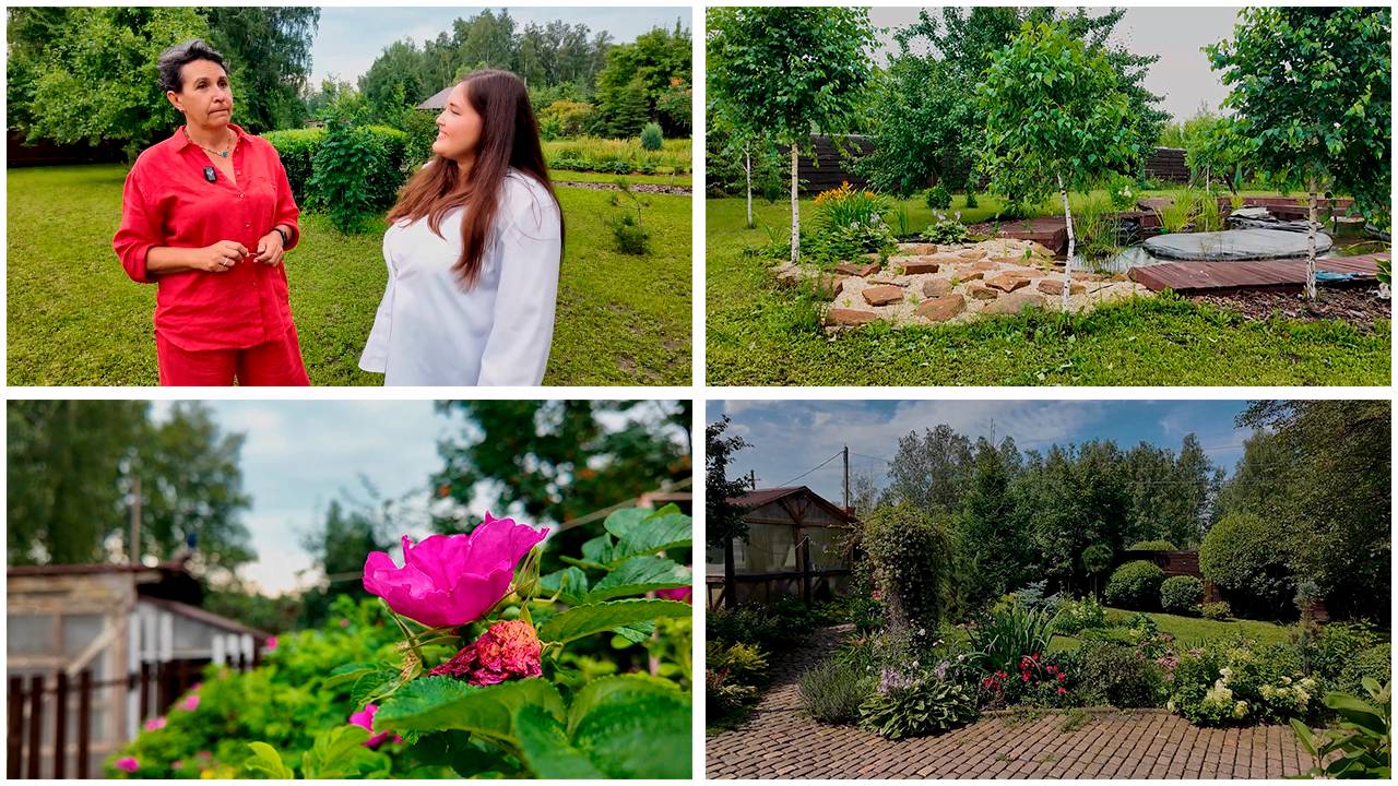 Уютное местечко | Природный ландшафт