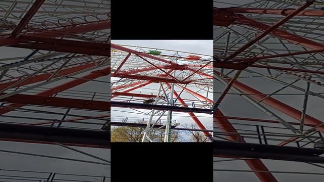 ПАРК БАБУШКИНА КОЛЕСО ОБОЗРЕНИЯ ЭТО ПИТЕР ДЕТКА ТИПИЧНЫЙ ВЕСНА ПРИРОДА