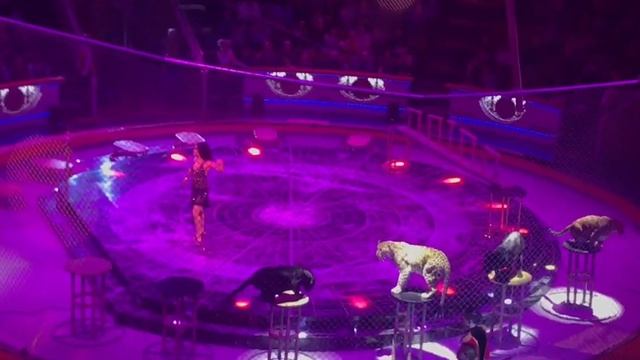 Цирк,Цирк,ЦИРК. 19