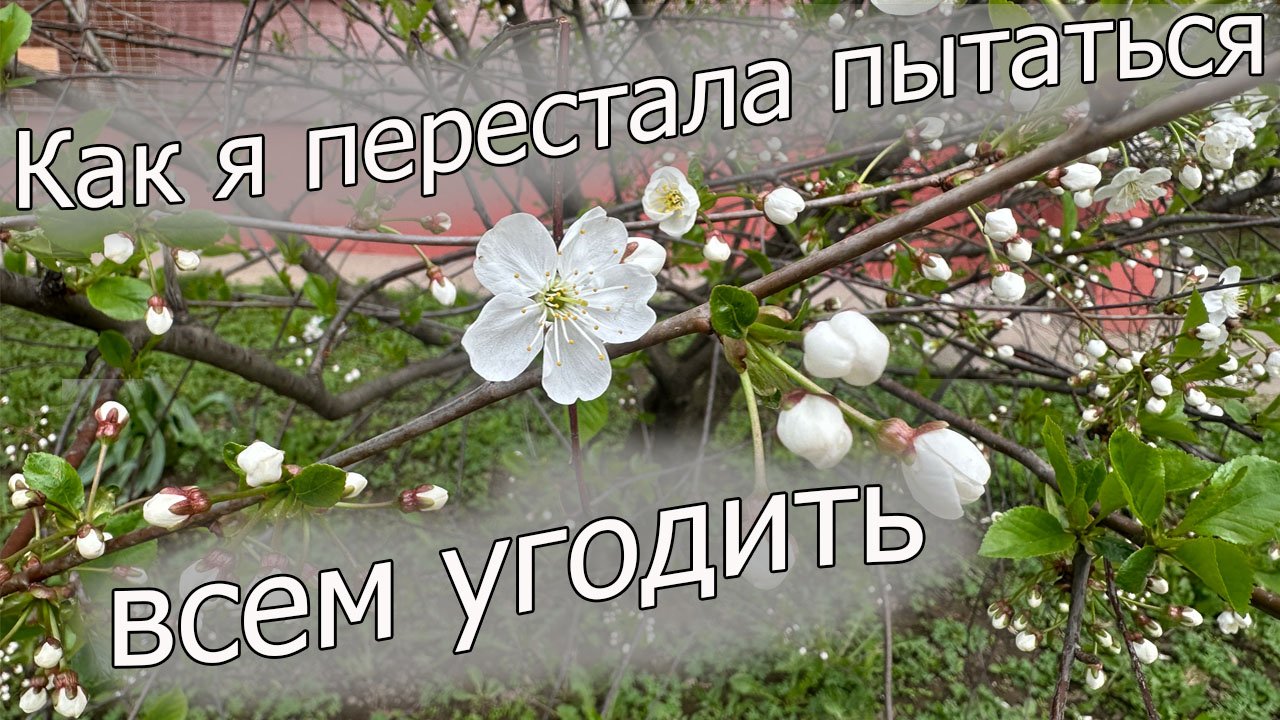 Как я перестала пытаться всем угодить  💭 Личный опыт и весенний влог 🌺☀️😎