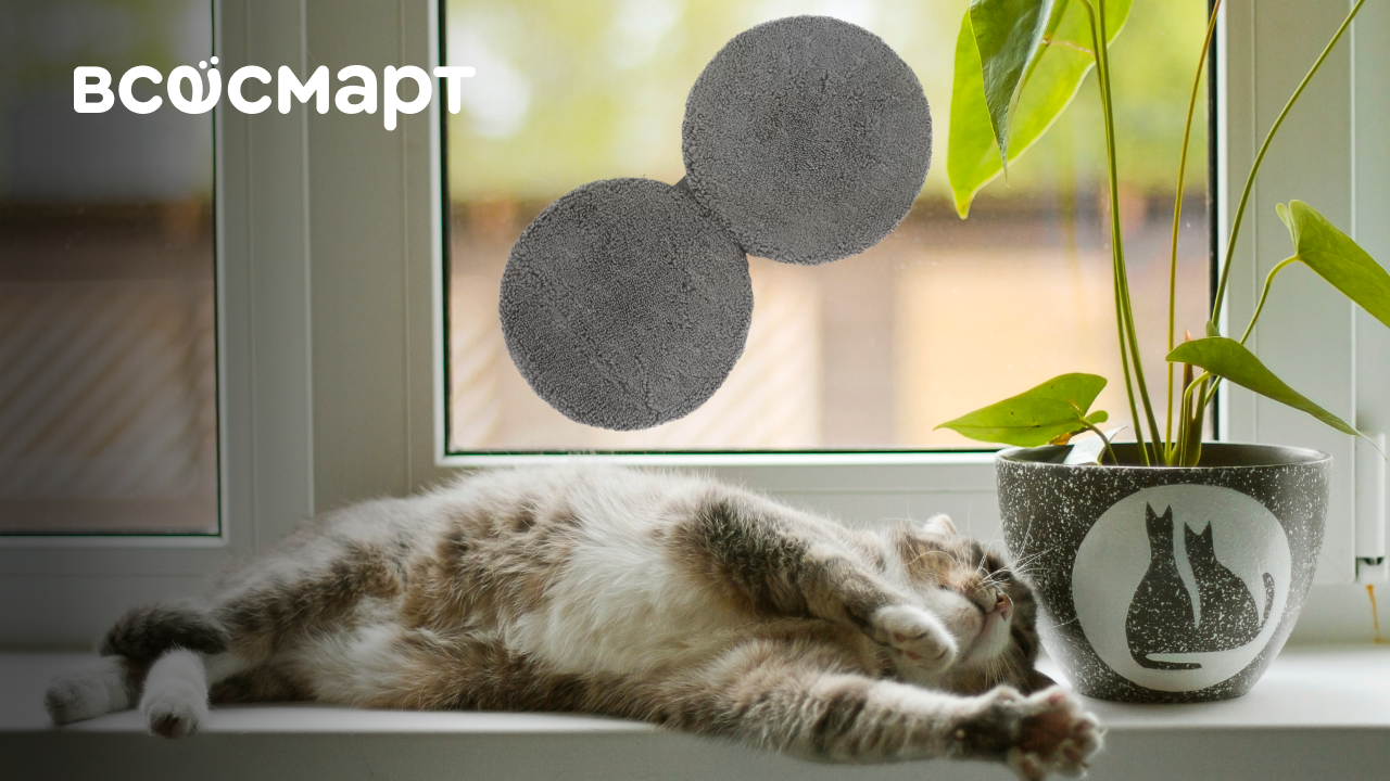 Робот-мойщик окон | HUTT Window Cleaning Robot DDC55