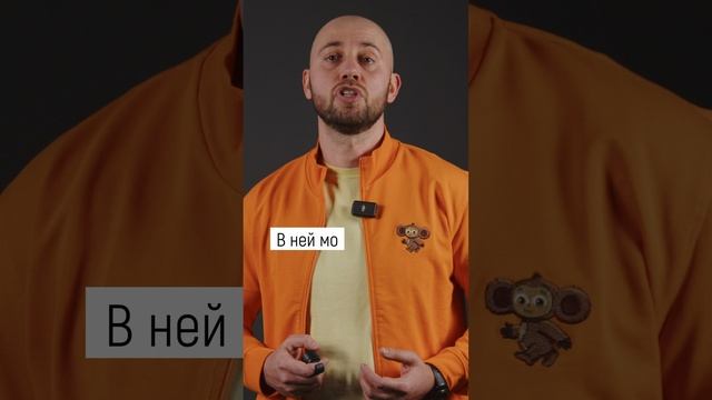 Как Отмечают Новый Год во Франции: История и Традиции!?