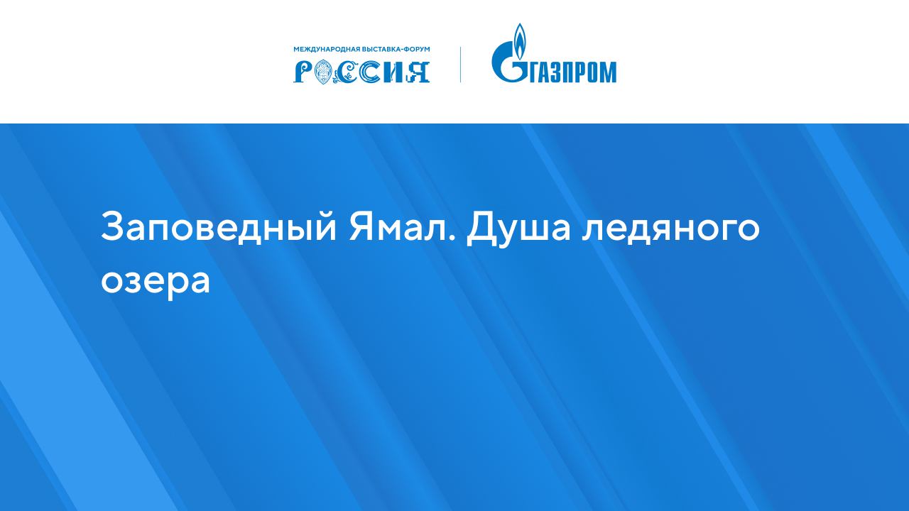 Заповедный Ямал. Душа ледяного озера