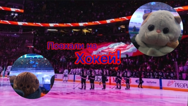 Поехали на хокей! ? 2 день в Питере!
