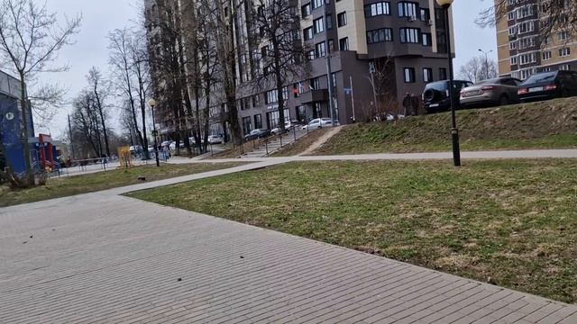 Погода в Москве и области 15.04.2023.холодрыга.