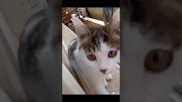 Не стоит драться.mp4