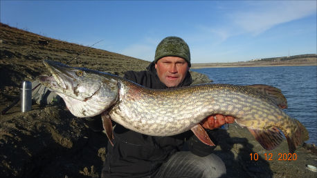 Огромная щука.на живца.ЩУКА ГИГАНТ.