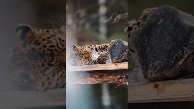 Ценности меняются с годами...