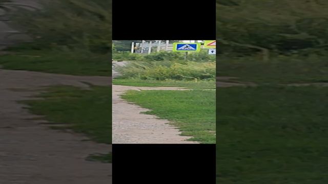 ЖКХ