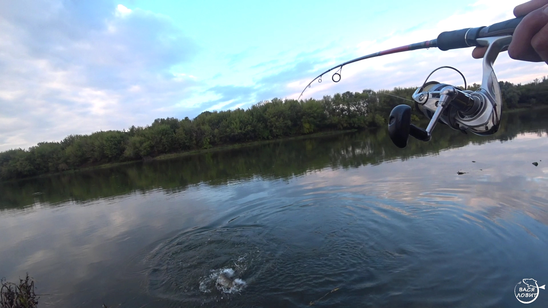 Рыбалка на спиннинг. Вода поднялась. ГОЛАВЛЬ зачёт (04.10.2021)