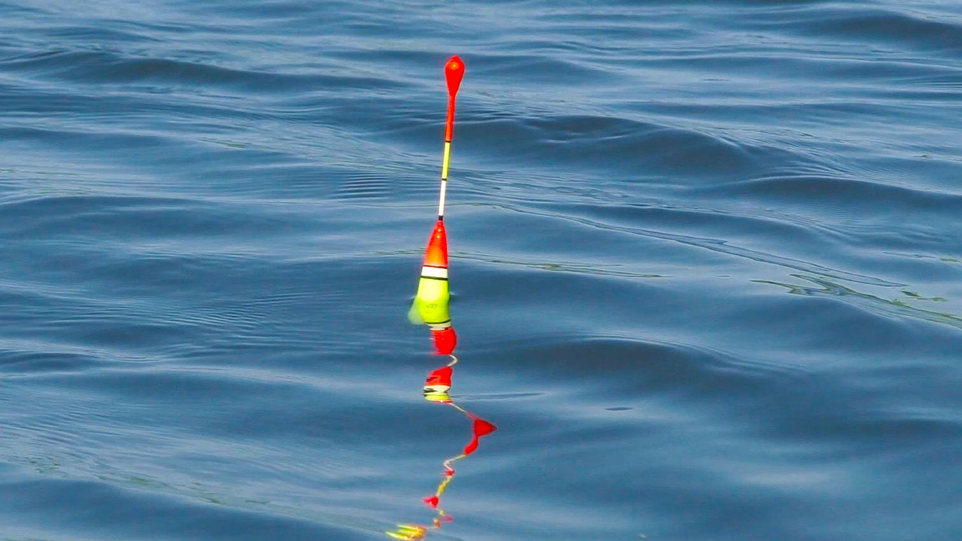 Рыбалка на поплавок с лодки в камышах