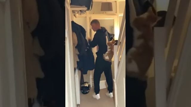 Невидимость 99 уровня