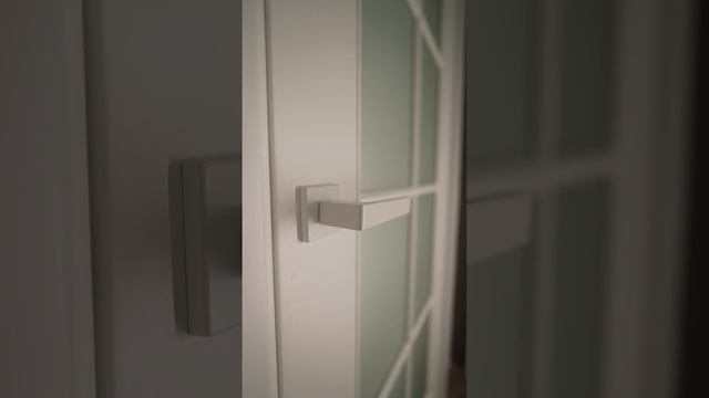 Двери в эмали