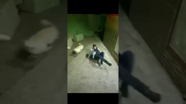 КАРДО ТОП24 BREAKING: Никита Лабановский