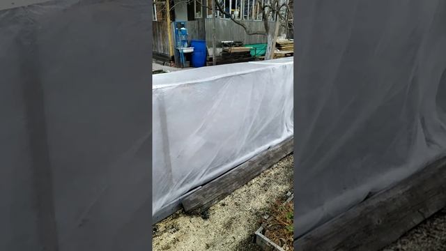 Празднование 1 мая.