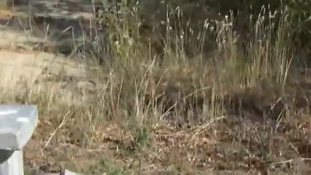 Космические риски(360p)