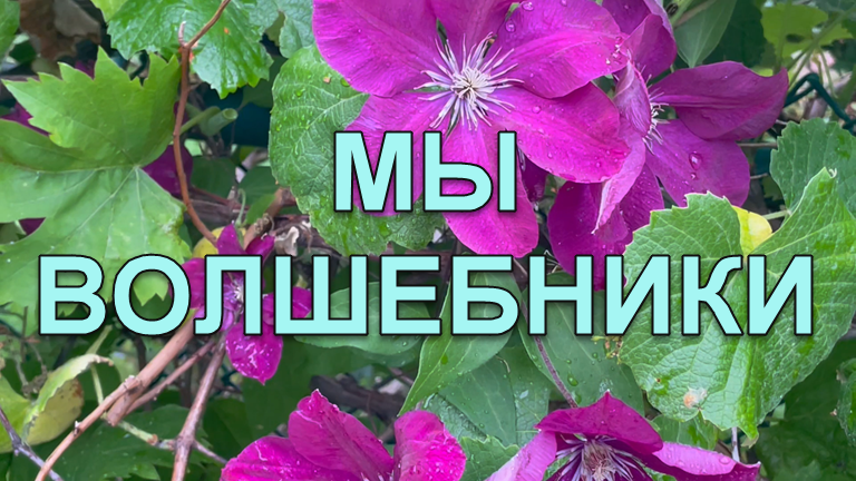 Мы - волшебники, самые настоящие