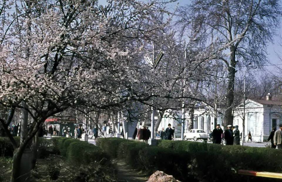 #РифатГумеров​​​​​​​​​​​​​​​, #Фергана​​​​​​​​​​​​​​​, Мама и Фергана, 87 серия,