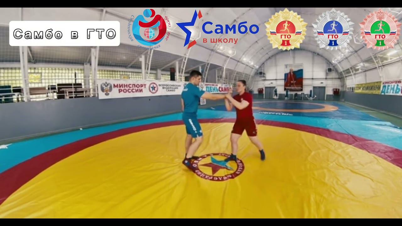 Самозащита. Действия ассистента: выполняет захват руки (одноименной).