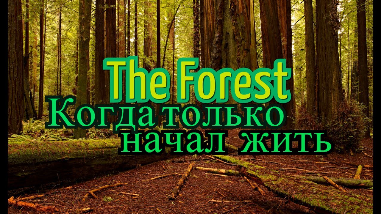 Когда только начал жить ► The Forest #1