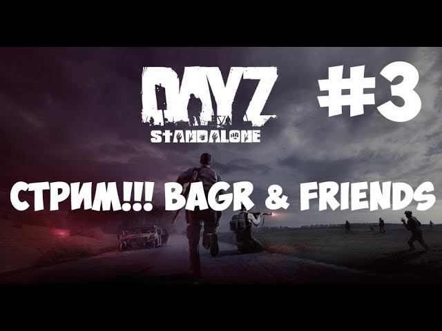 DayZ #3 Bagr & Friends