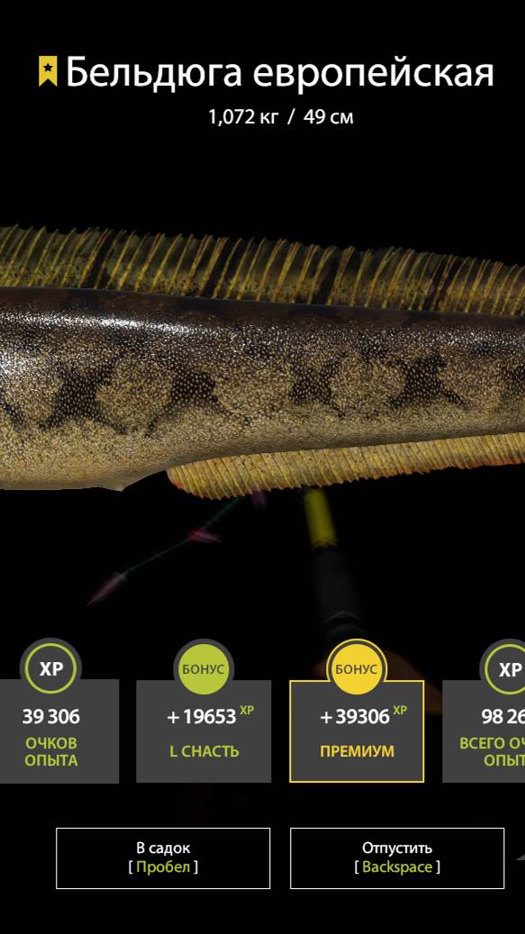 Русская рыбалка 4 Норвежское море Бельдюга европейская Трофей 34 банка