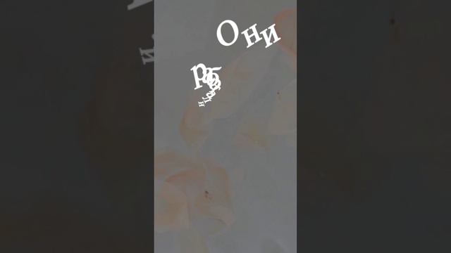 Мысли под замком