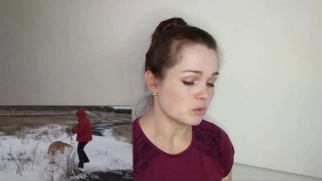 Организация вязки у собак