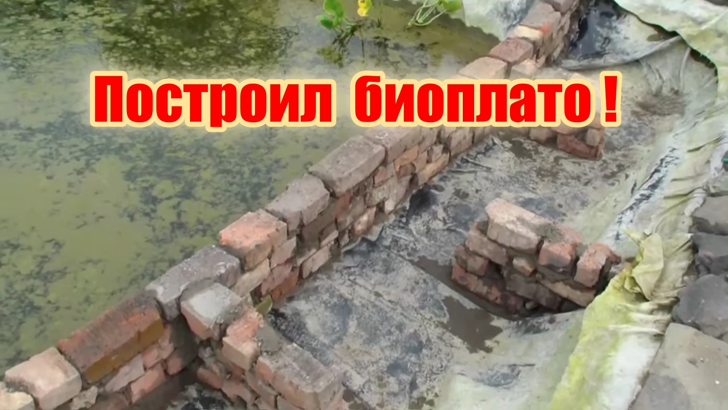 Пруд превратился в болото часть 2.