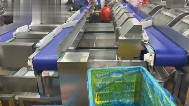 Весовой сортировщик ВЕСТАЛИНК - многоступенчатая сортировка