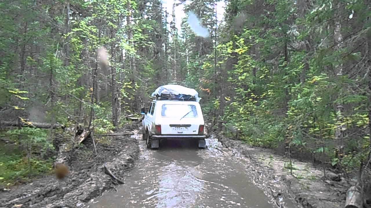 дорога между избой в кедровнике и  перевалом Дятлова