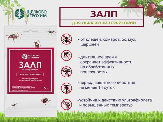 От комаров, ос, мух, шершней и клещей недорогой эффективный препарат