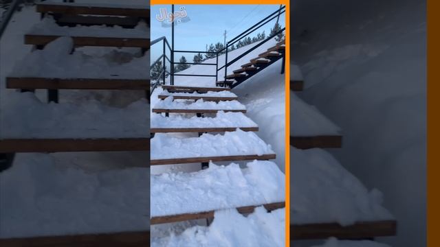 Подъёмная тропа на гору Заводскую Черноисточинск Нижним Тагил Панорамный вид на Веселые горы #shorts