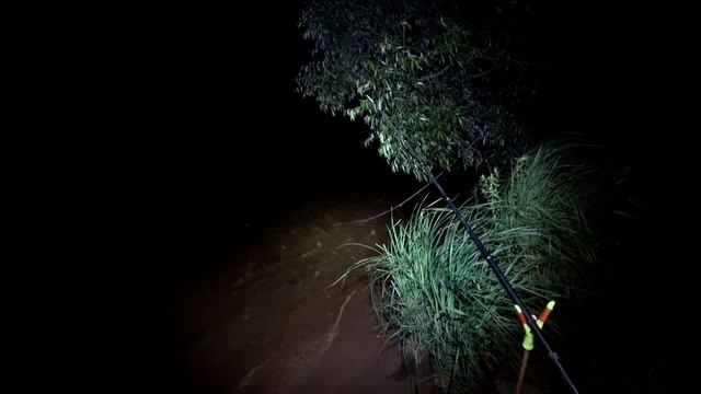 Оснастка донок на хищника