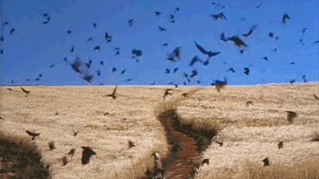 Да,я согласен.wmv