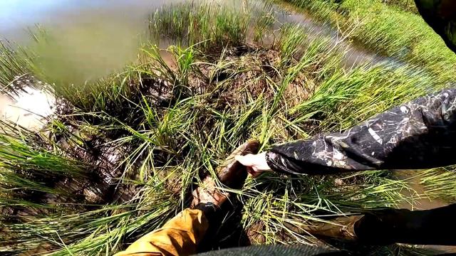 Рыбалка просто БОМБА! Хищник атакует.