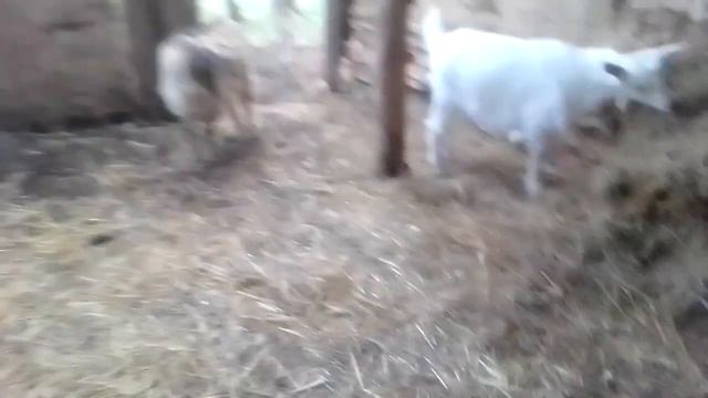 Медленно,но верно