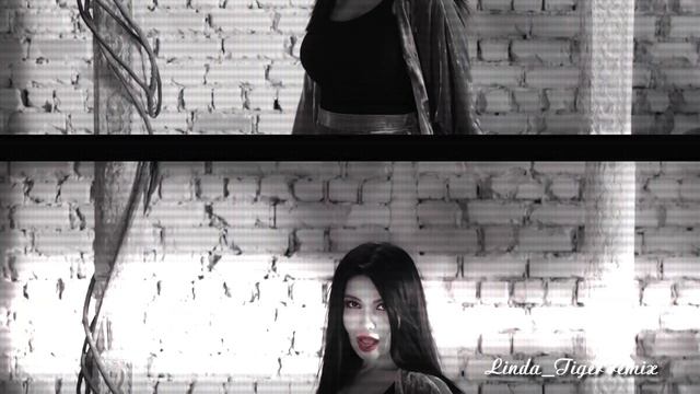 Shahzoda - Linda _Tiger remix