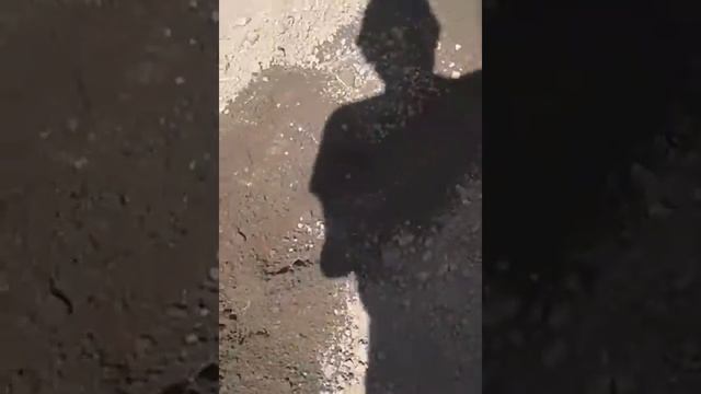 Посадка картофеля Королева Анна..mp4