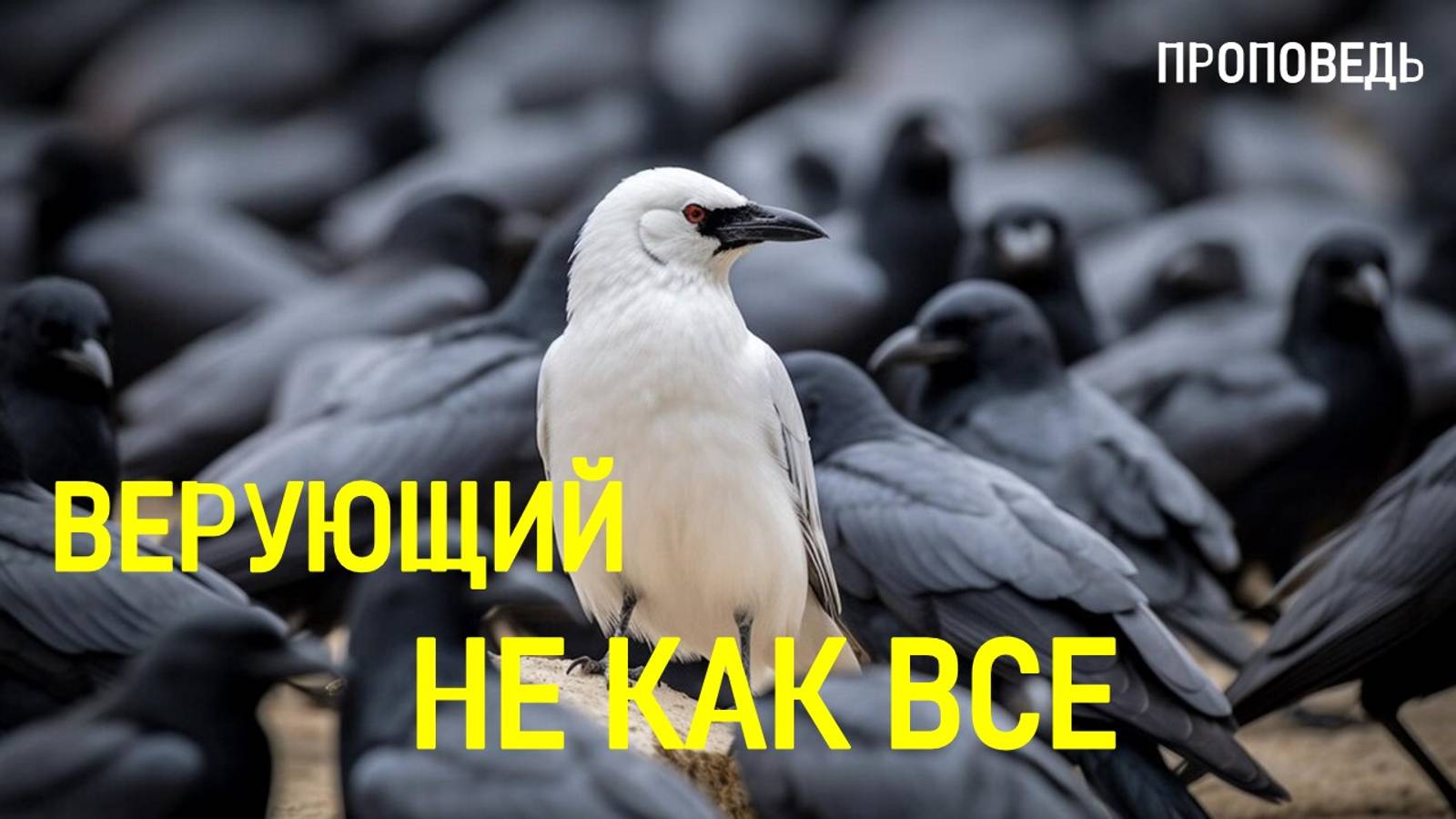 Верующий не как все / Проповедь, Калуга, церковь "Скала"