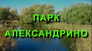 Красивые картинки. Осень в городе.