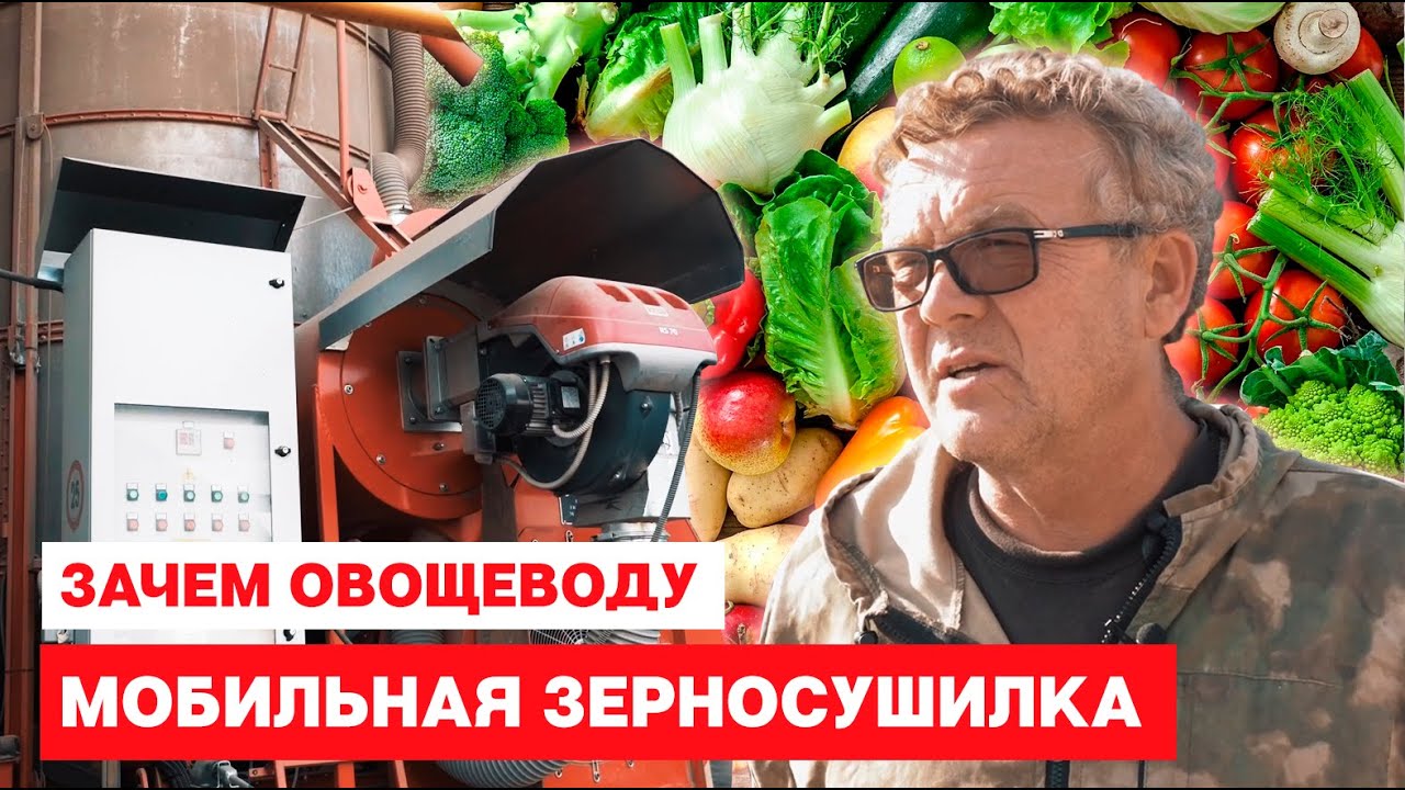 Зачем овощеводу зерносушилка Fratelli Pedrotti Super 200. Честный отзыв.