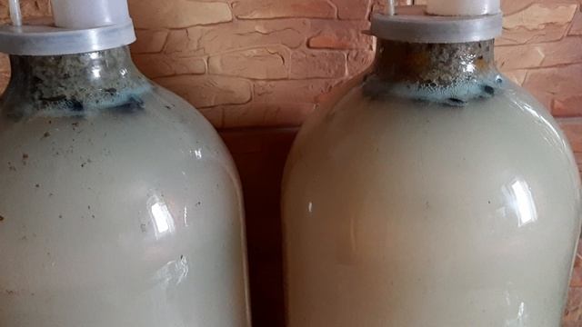 Брага + анонс