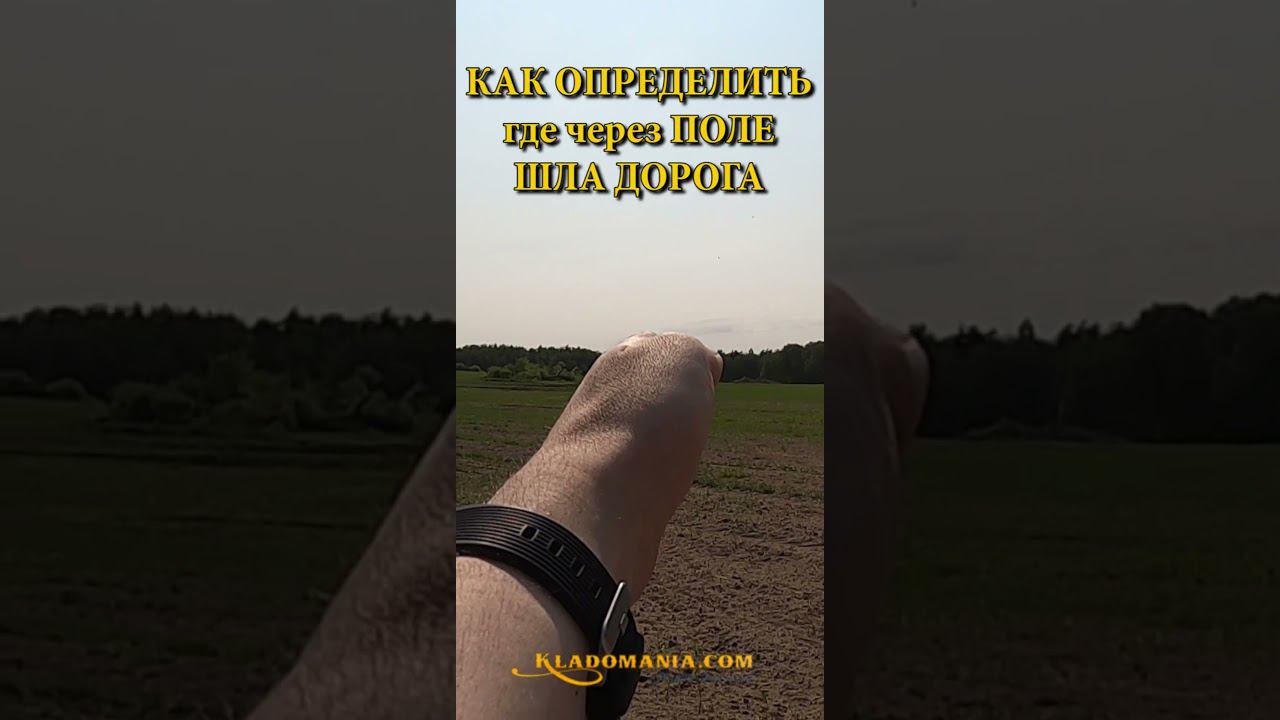 СОВЕТЫ КЛАДОИСКАТЕЛЯМ. Где через поле шла дорога. КЛАДОМАНИЯ #shorts