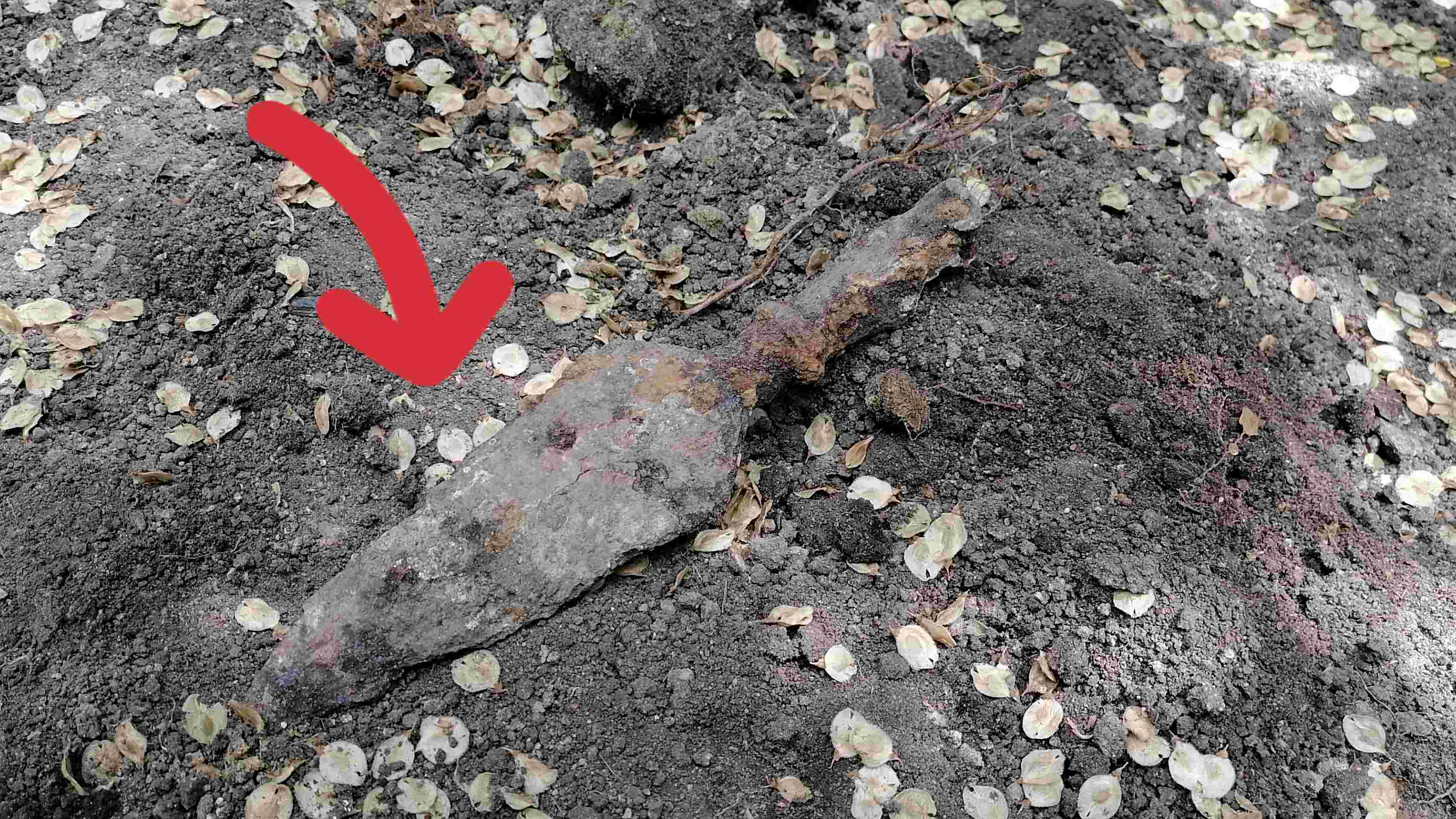 ВОТ ТАК ШУРФ.