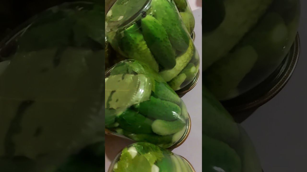 Заготовки из кабачков 10.07.23  Shorts