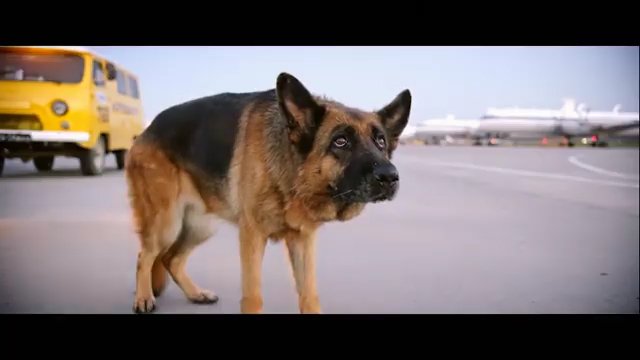 ПОВЕСТЬ О ПРЕДАННОМ ДРУГЕ.mp4