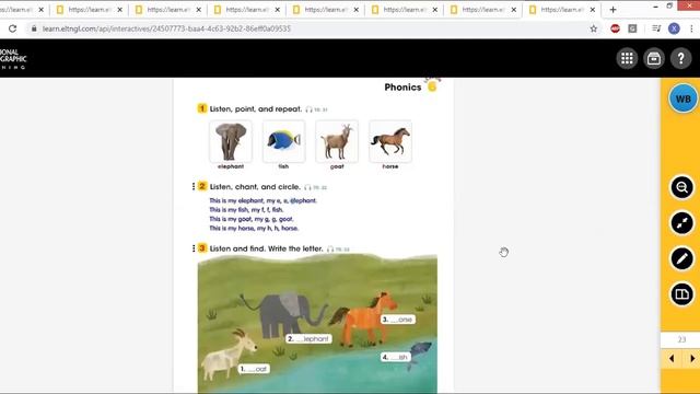 Летняя программа LOOK