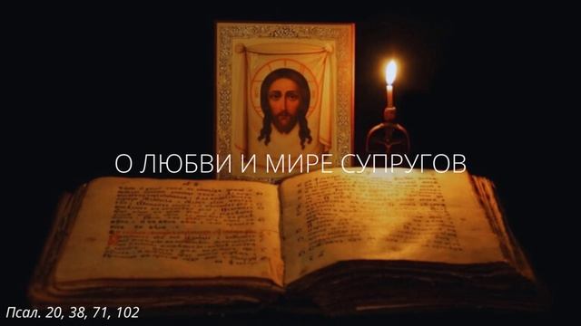 7. О любви и мире супругов