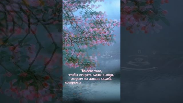 Вместо того, чтобы стирать слёзы с лица